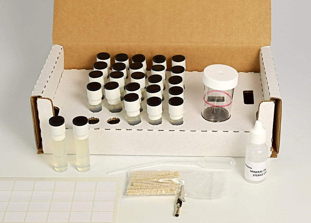 Bug Check® Bacteria and Fungi Dipslide Test Kits – Avalon E Store